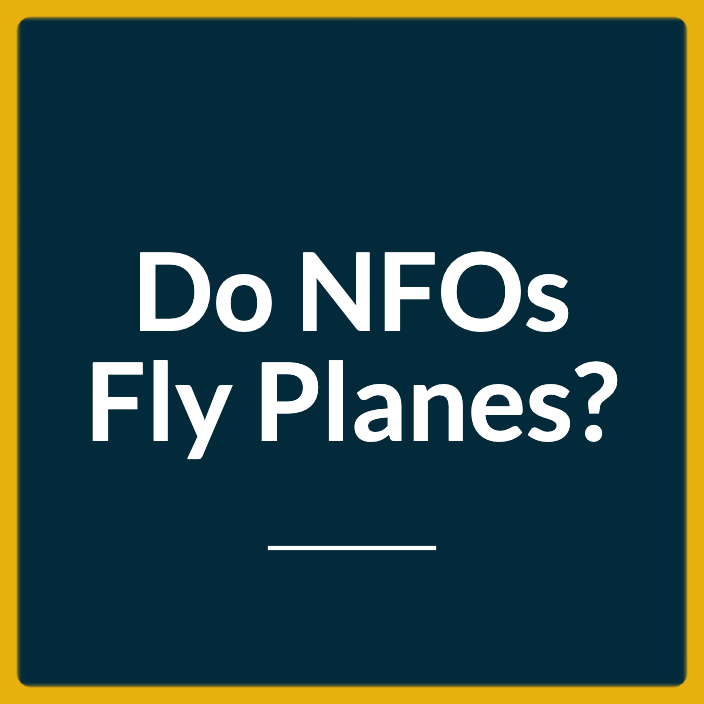 Do Naval Flight Officers Learn To Fly?